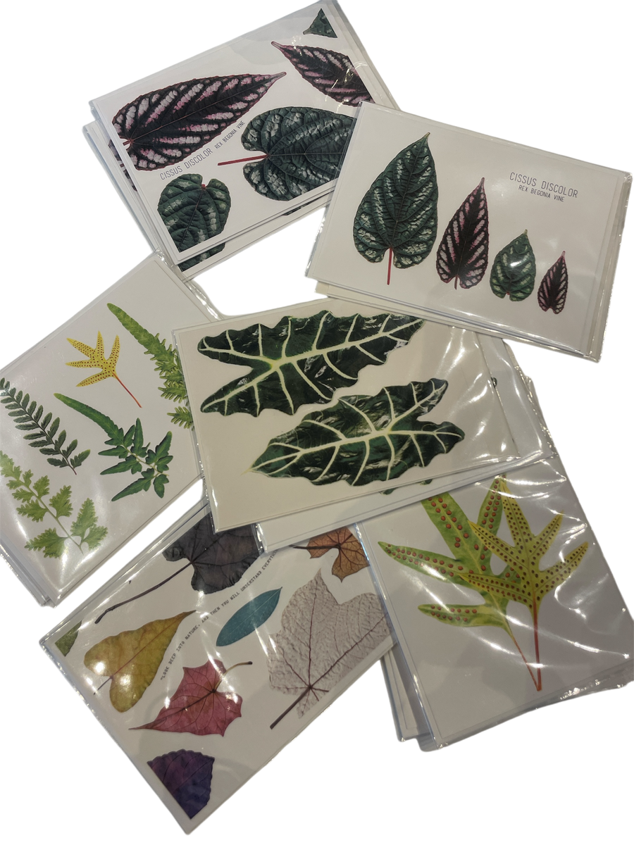 PUPA-Greeting Cards-Leaves – The Makers LLC