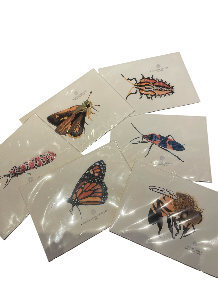 PUPA-Art Prints Small – The Makers LLC